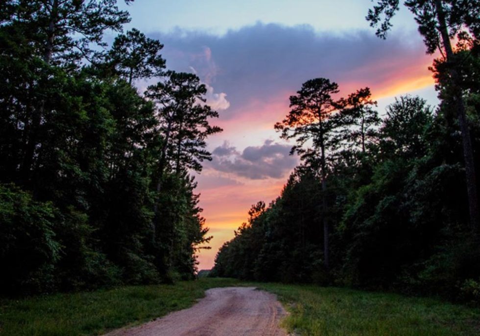 Patten Properties | We Find The Land. You Make It Home.